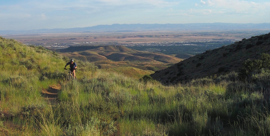 Experience - Boise Heritage House